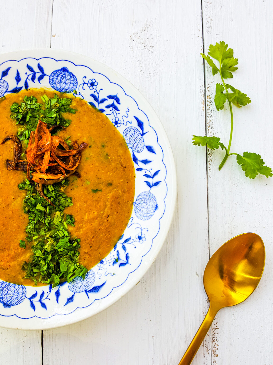 Easy Pakistani Vegetarian Soup (Haleem) - Romandian Masala